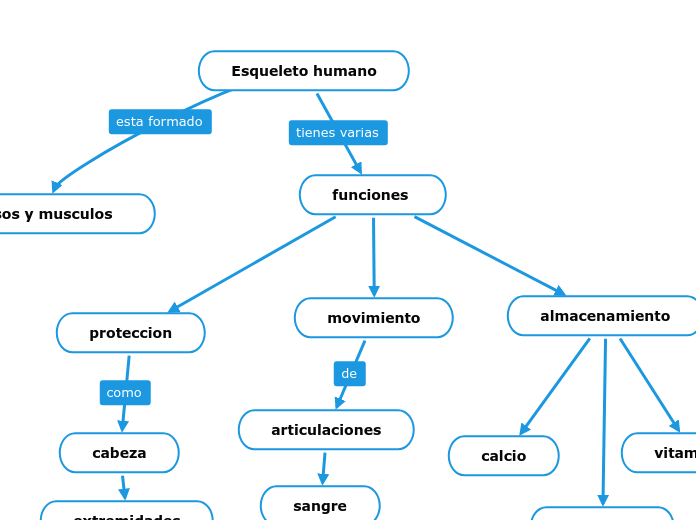 Esqueleto humano - Mind Map